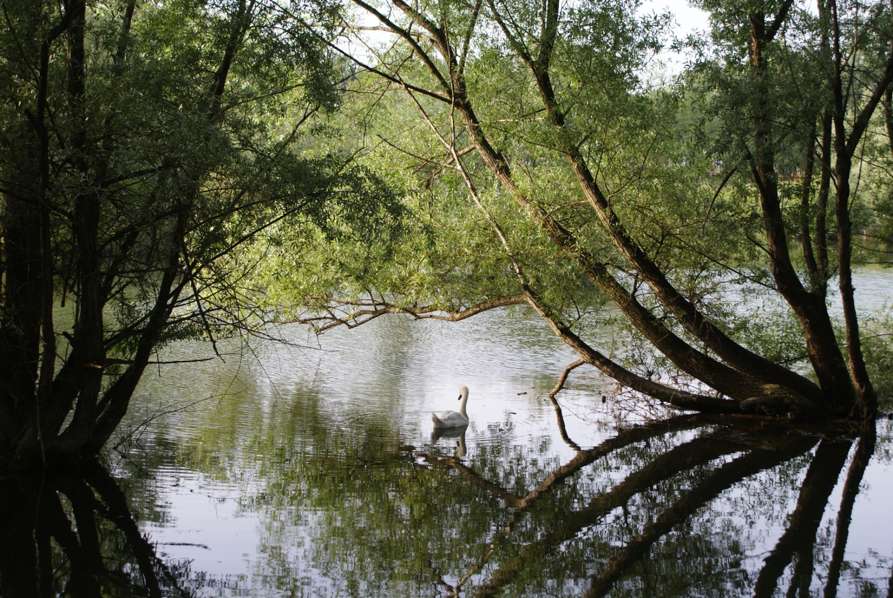 Upravljanje sportskim objektima - Sportsko rekreacijski centar Bundek